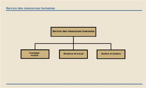 Organigramme | Ressources humaines